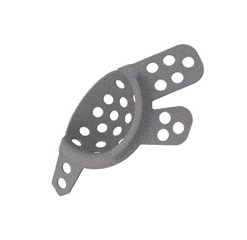ARTHROPLUS ANTIPROTRUSIO CAGE